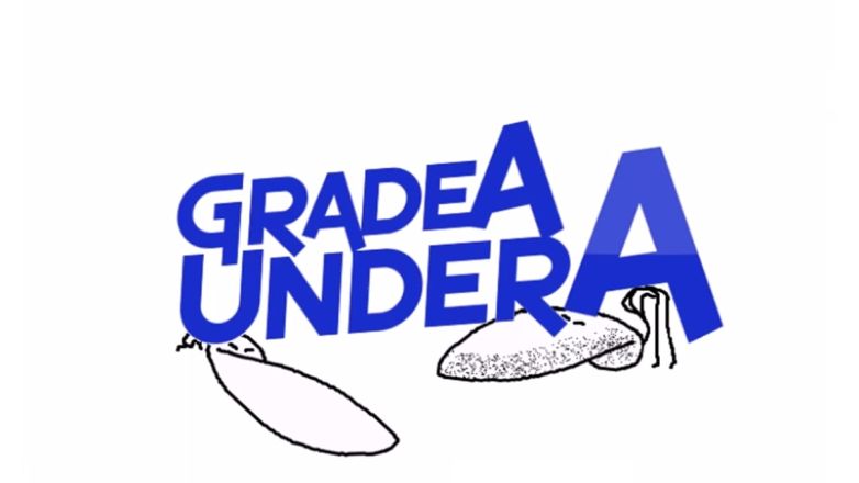 Simon Burkhardt | DRUMPADS